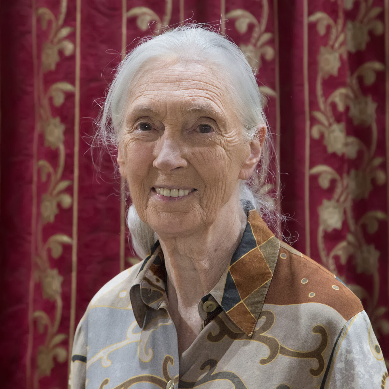 Jane Goodall: Οι συμβουλές της παγκοσμίου φήμης επιστήμονα και ...