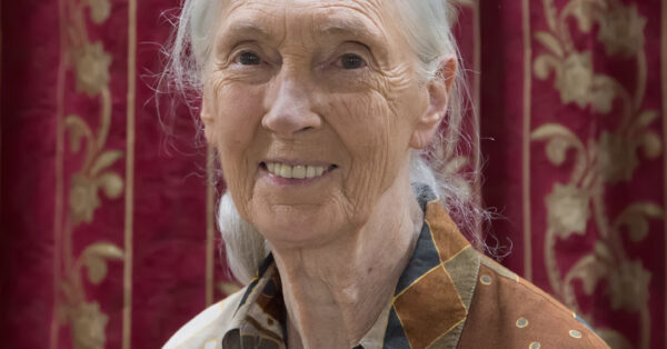 H κορυφαία ανθρωπολόγος και ακτιβίστρια Jane Goodall έλαβε ένα ελληνικό ...
