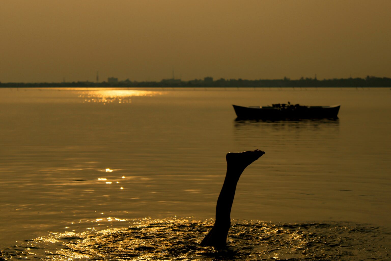 Boat jumping challenge: Η θανατηφόρα τάση που κατακλύζει το Tik Tok ...