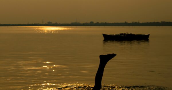Boat jumping challenge: Η θανατηφόρα τάση που κατακλύζει το Tik Tok ...
