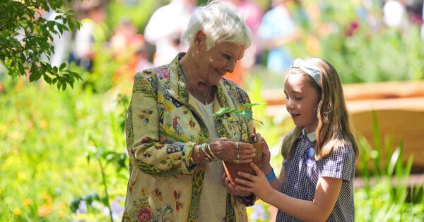 Dame Judi Dench: Φαίνεται να έχει τελειώσει η κινηματογραφική καριέρα ...